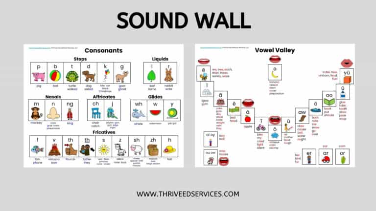 Syllable Division Rules: Dividing Words Into Syllables - FREE Charts