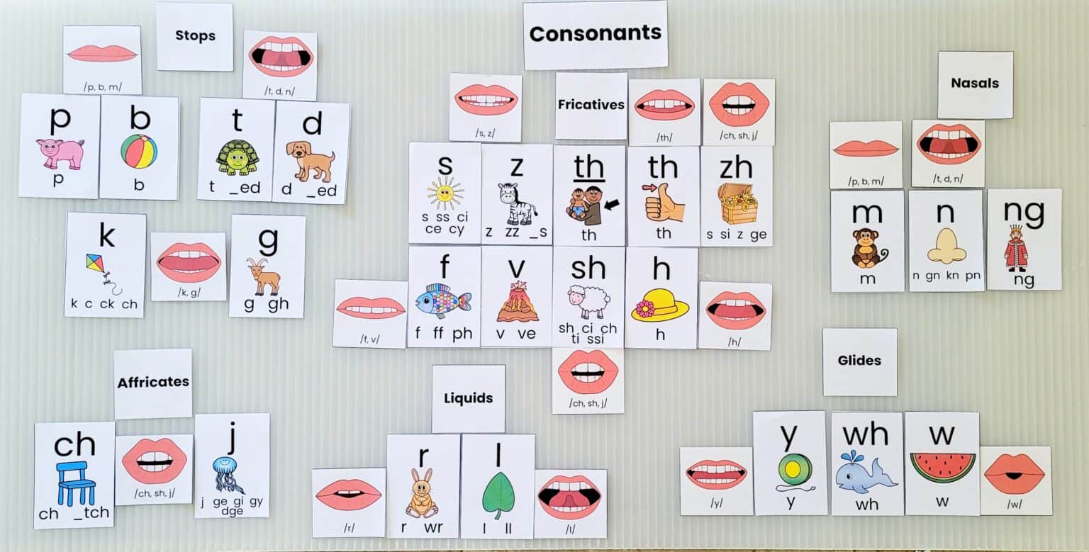 The 44 Phonemes of English - Thrive Literacy Corner