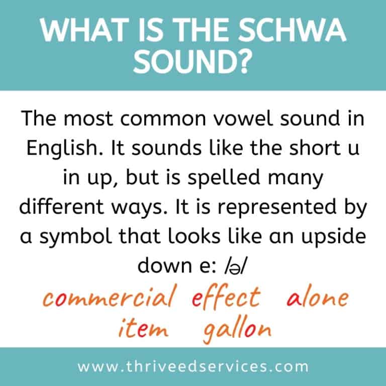How To Use A Sound Wall In The Classroom - FREE SOR Guide