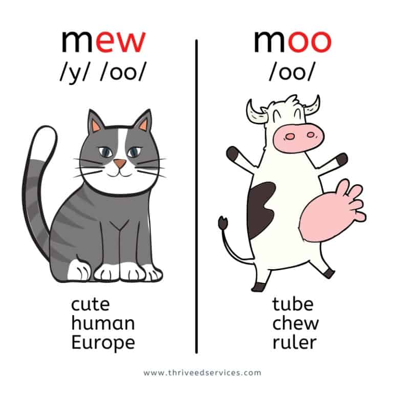 How To Teach Long U Words & FREE Word List