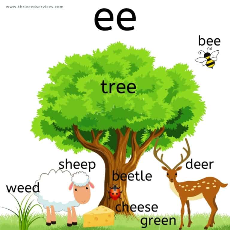 How To Teach Long E Words & FREE Word List