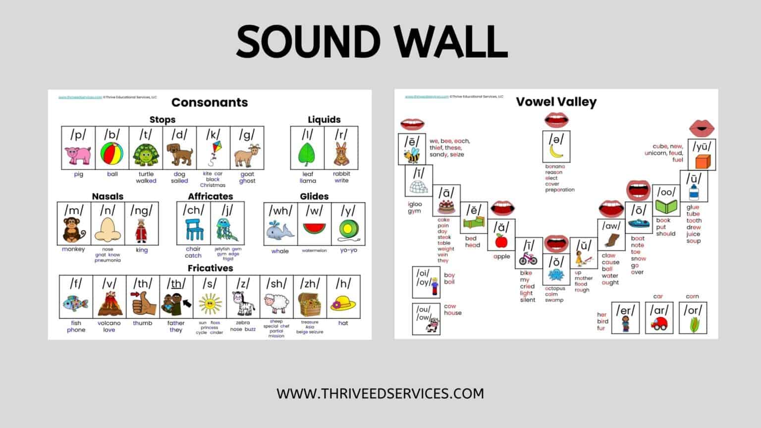 How To Use A Sound Wall In The Classroom - FREE SOR Guide