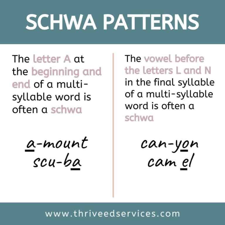 All About The Schwa Sound & FREE Anchor Charts