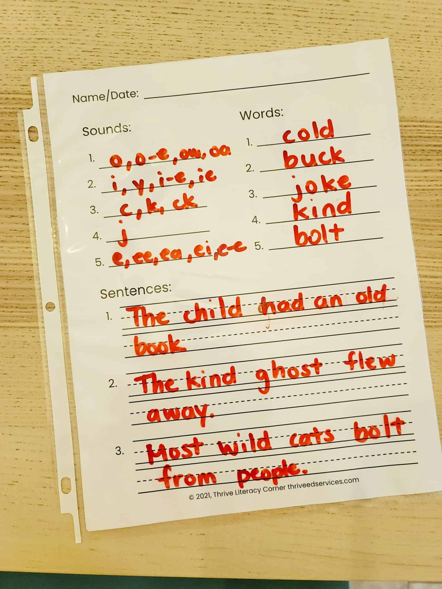 All About Closed Syllable Exceptions + Freebies!!