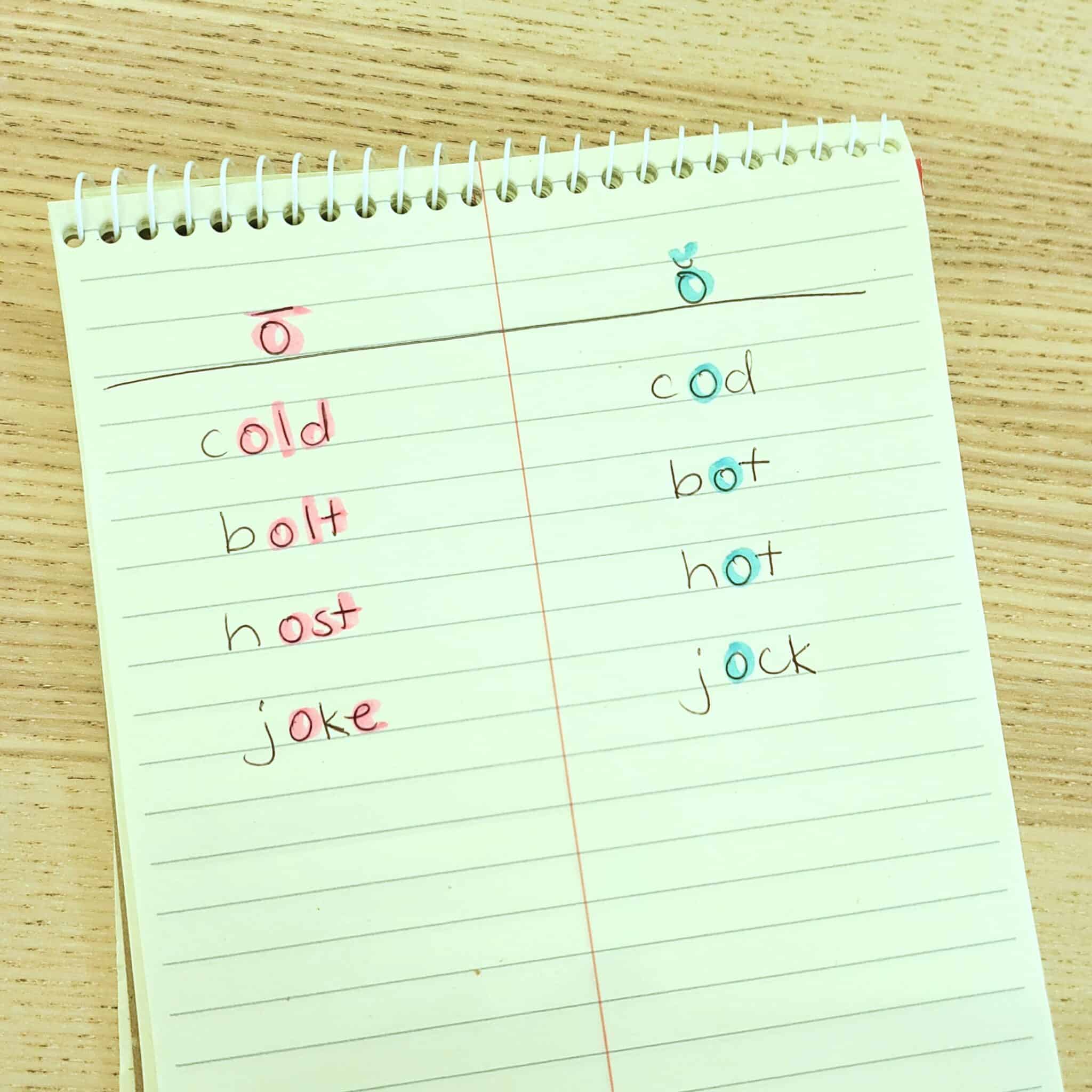 All About Closed Syllable Exceptions + Freebies!!