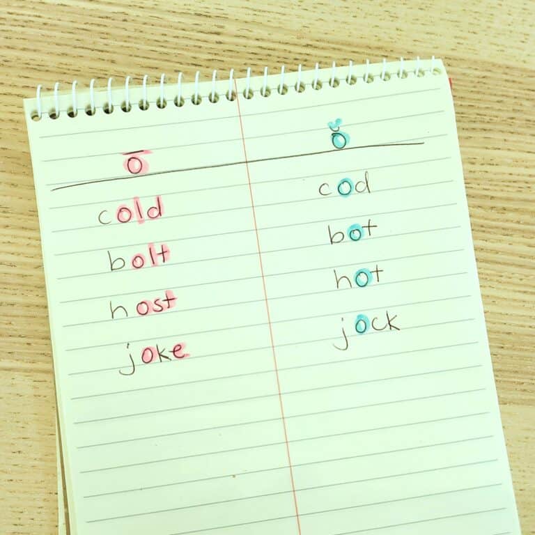 All About Closed Syllable Exceptions + Freebies!!