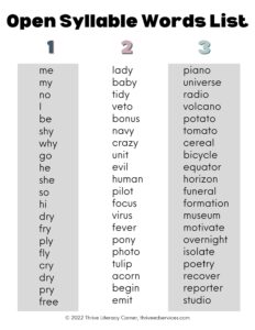 All About the Open Syllable + FREE Anchor Charts